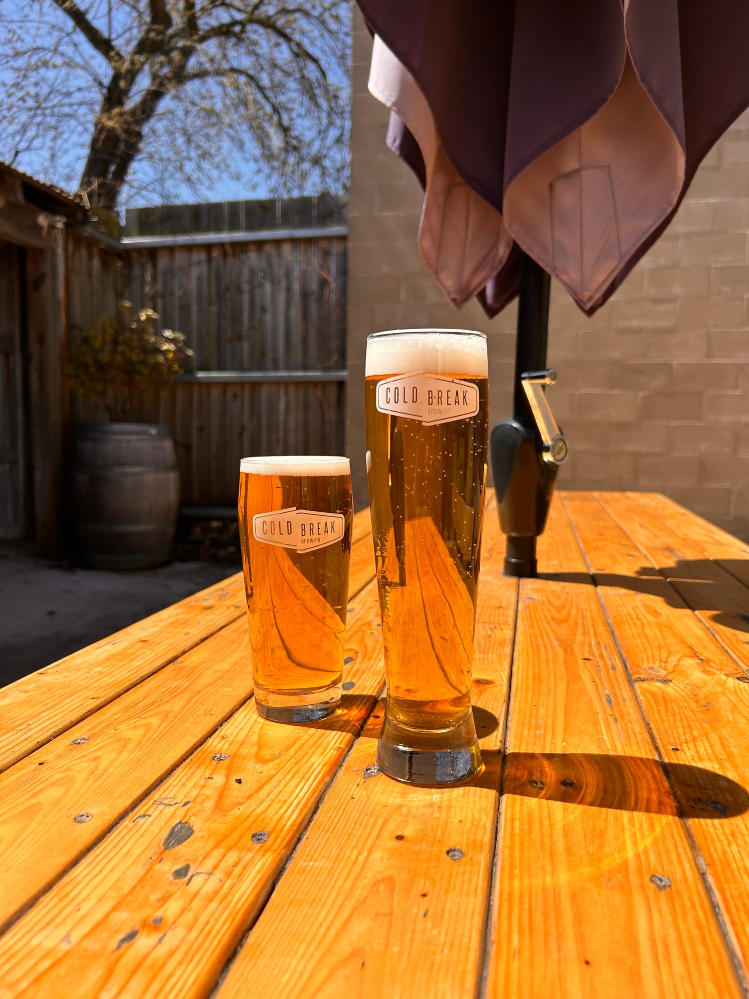 Cold Break Brewing